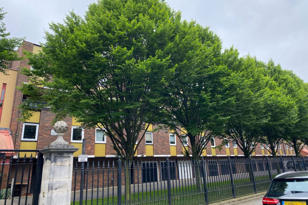 Leonora’s House | Strike Locations | Robert Galbraith