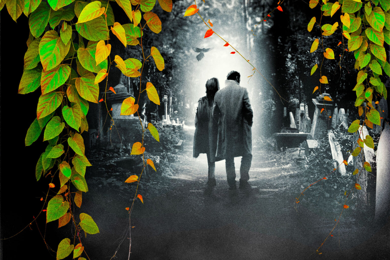 The Ink Black Heart | Cormoran Strike Book 6 by Robert Galbraith