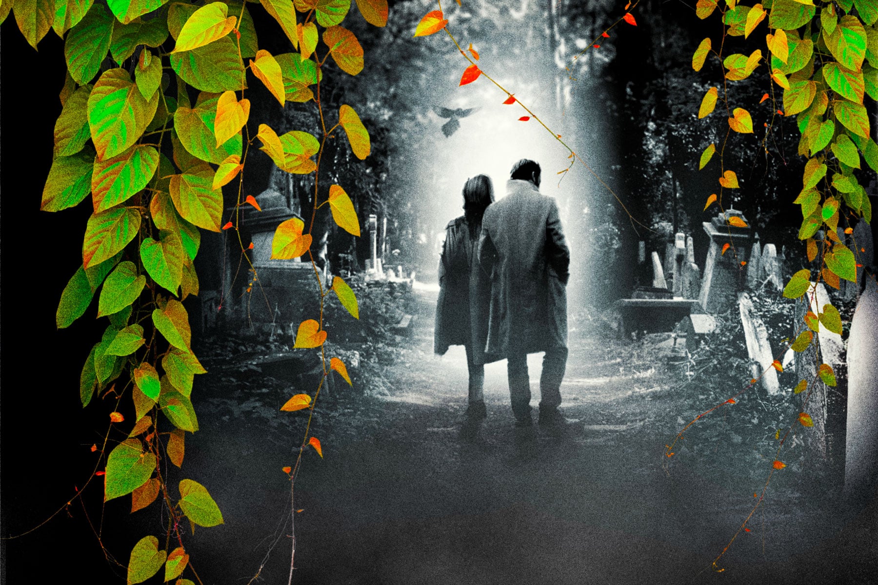 The Ink Black Heart | Cormoran Strike Book 6 by Robert Galbraith